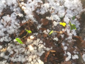 Snow, the endless repetition of an ordinary miracle -Orhan Pamuk- The ...